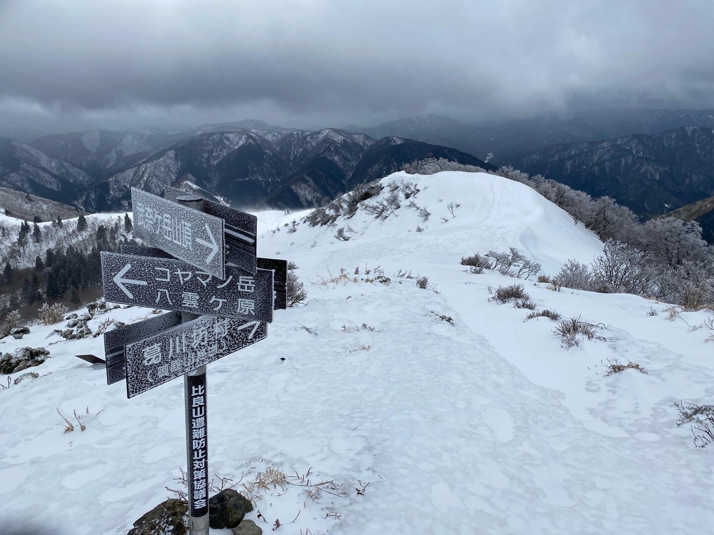 比良駅⇄武奈ヶ岳 / OKさんの比良山地・武奈ヶ岳・釈迦岳の活動データ | YAMAP / ヤマップ