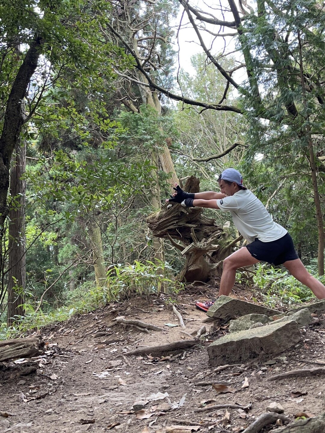 ちょっと裏山から西へ向かって / ippeioさんの六甲山・長峰山・摩耶山の活動データ | YAMAP / ヤマップ