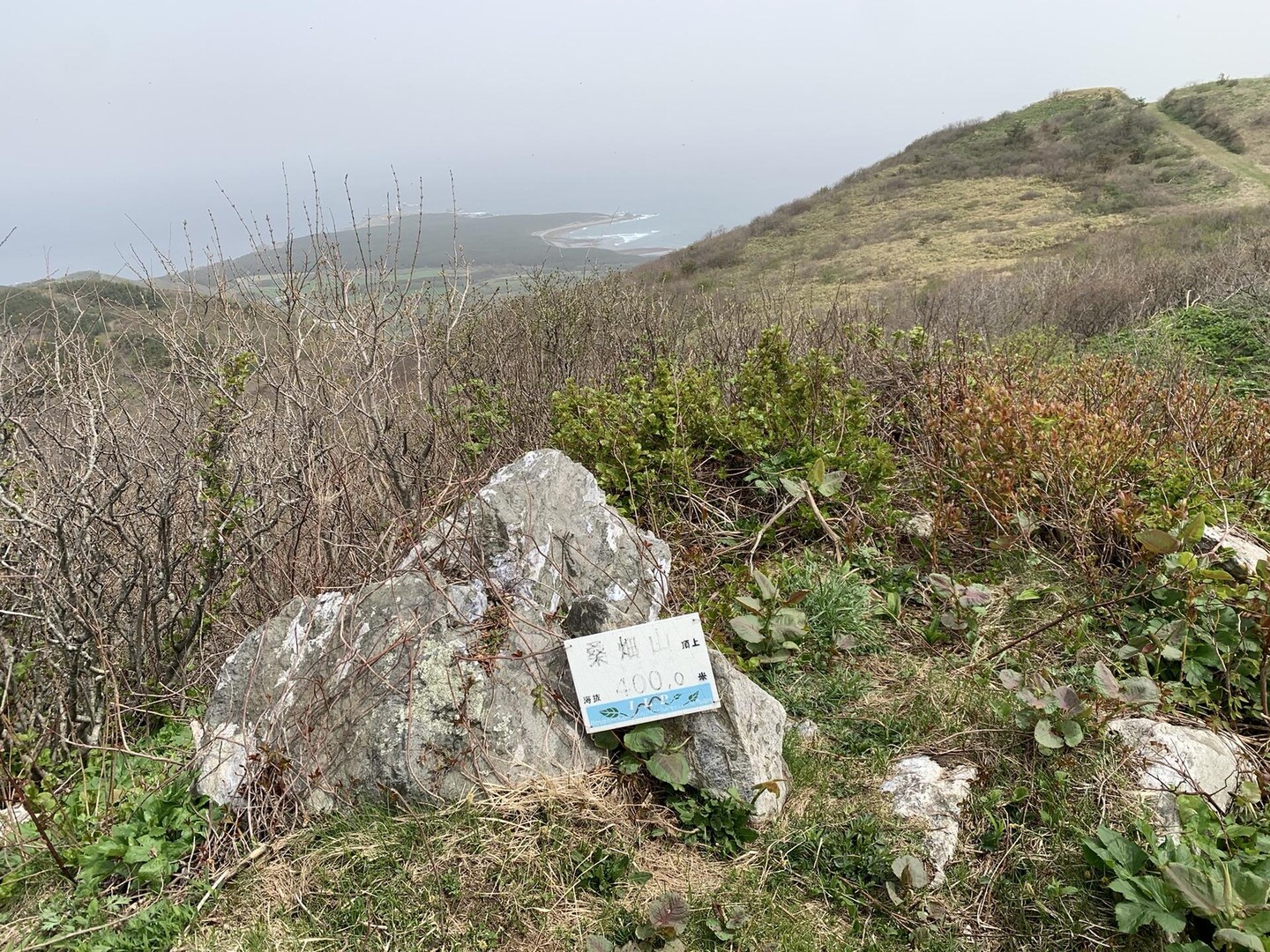 R6.4.27桑畑山 / あおかつさんの桑畑山の活動データ | YAMAP / ヤマップ