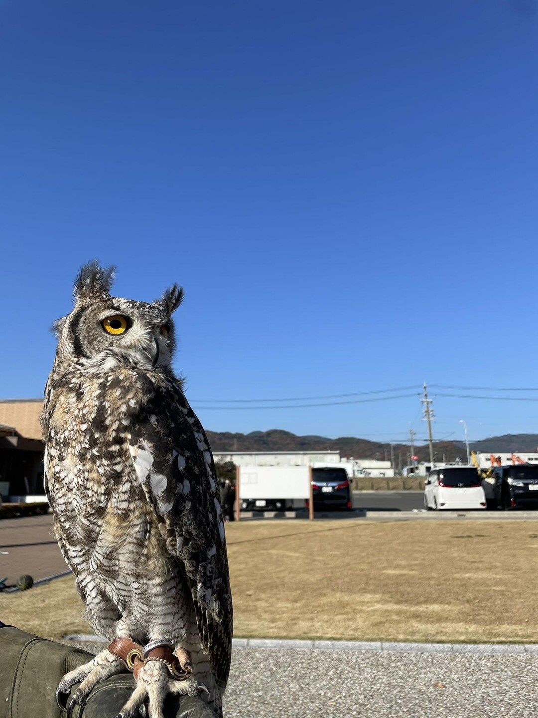 YAMAPでコメント交流していた としサ... / 毛むくじゃらさんのモーメント | YAMAP / ヤマップ