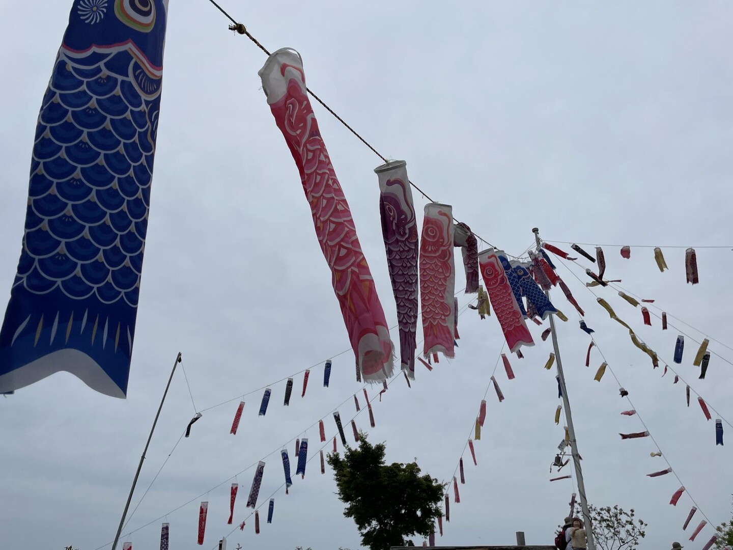 大平山 / oiyoさんの大平山・安見ヶ城山の活動データ | YAMAP / ヤマップ