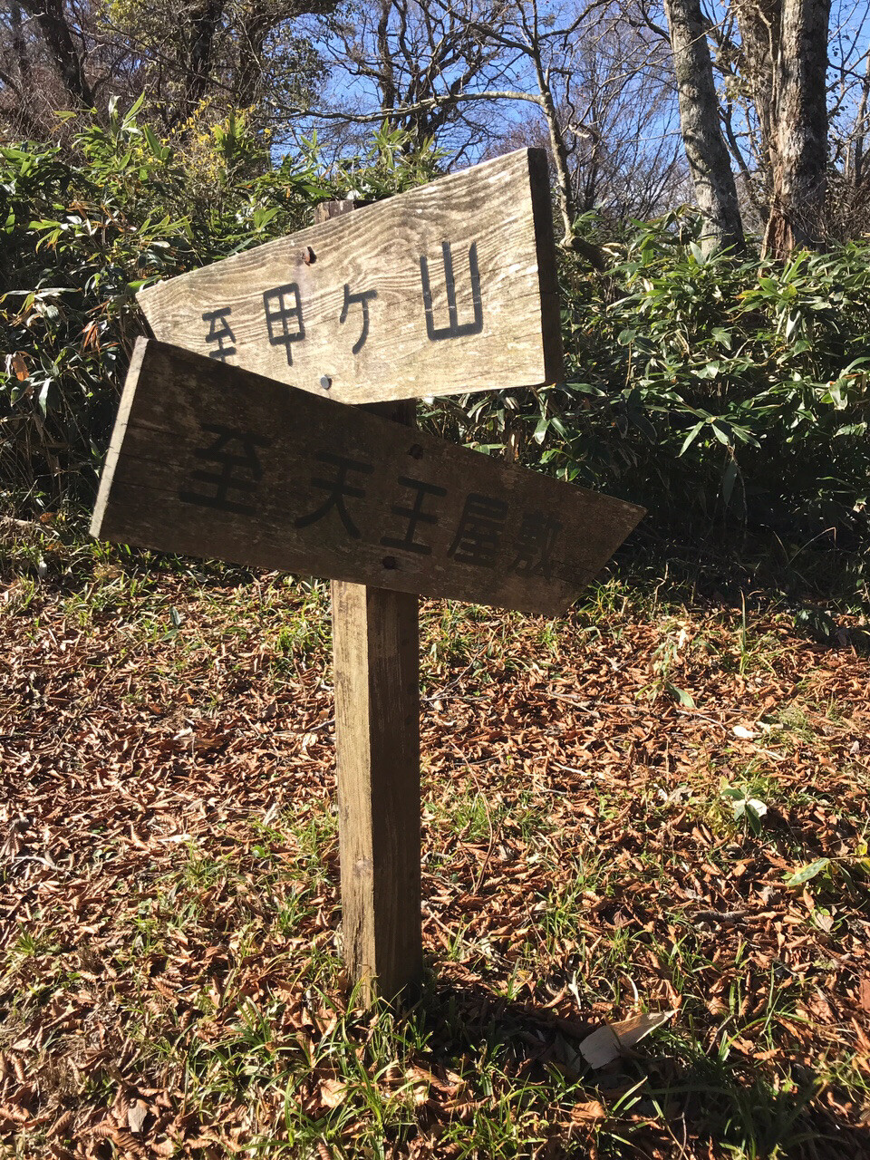 なべ(ワンゲルOB)さんの投稿したフィールドメモ | YAMAP / ヤマップ