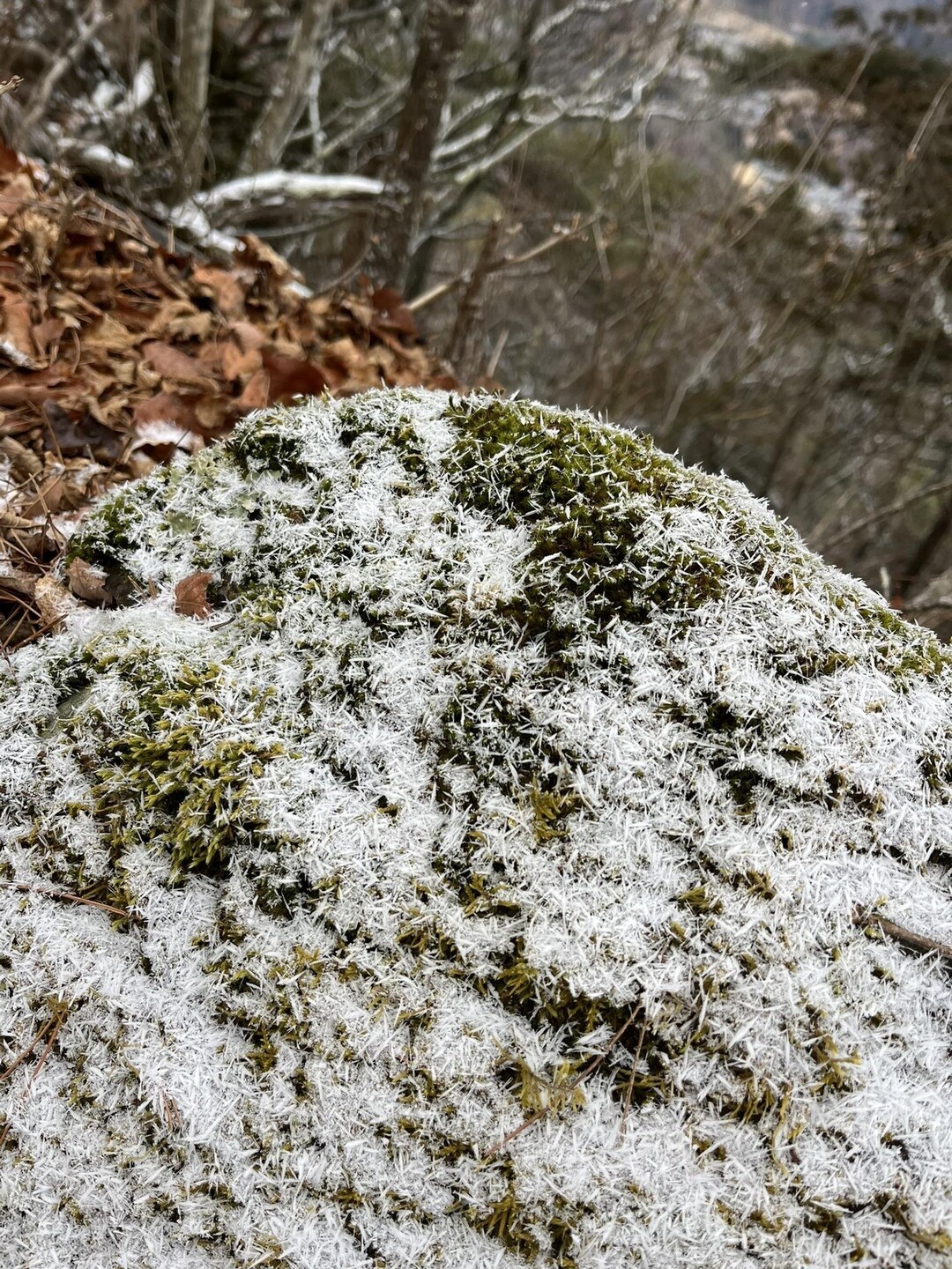 虚空蔵山 / nabeさんの虚空蔵山の活動データ | YAMAP / ヤマップ