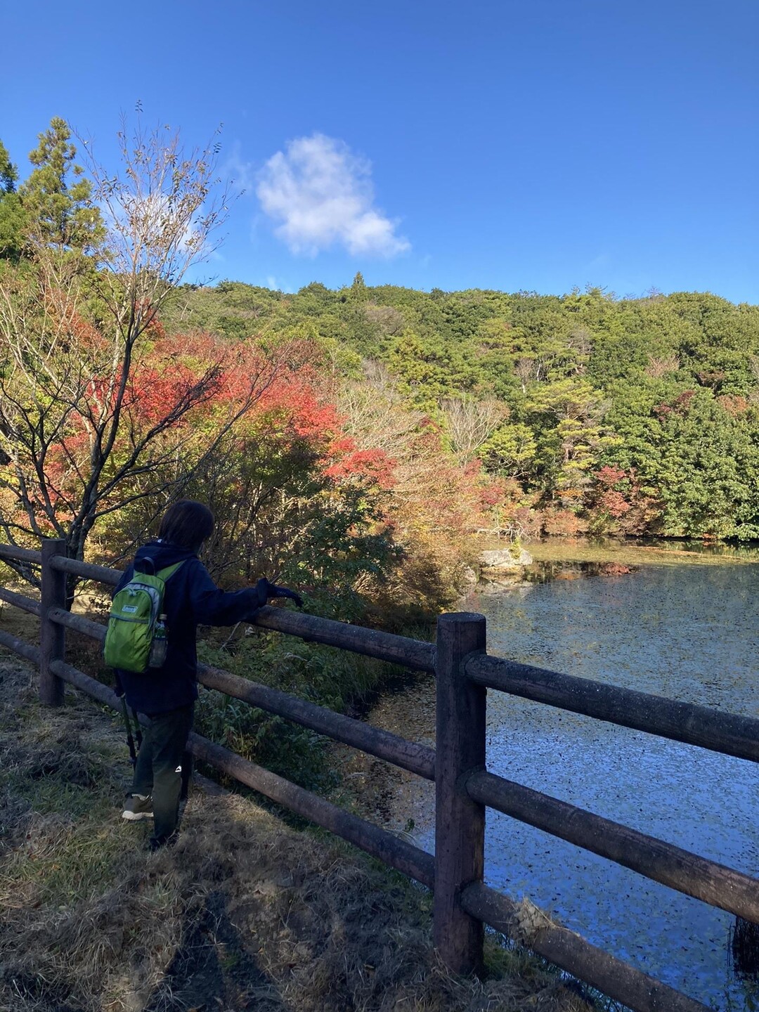 作礼山 先週の人生の並木道に続き今週は... / Rさんのモーメント | YAMAP / ヤマップ