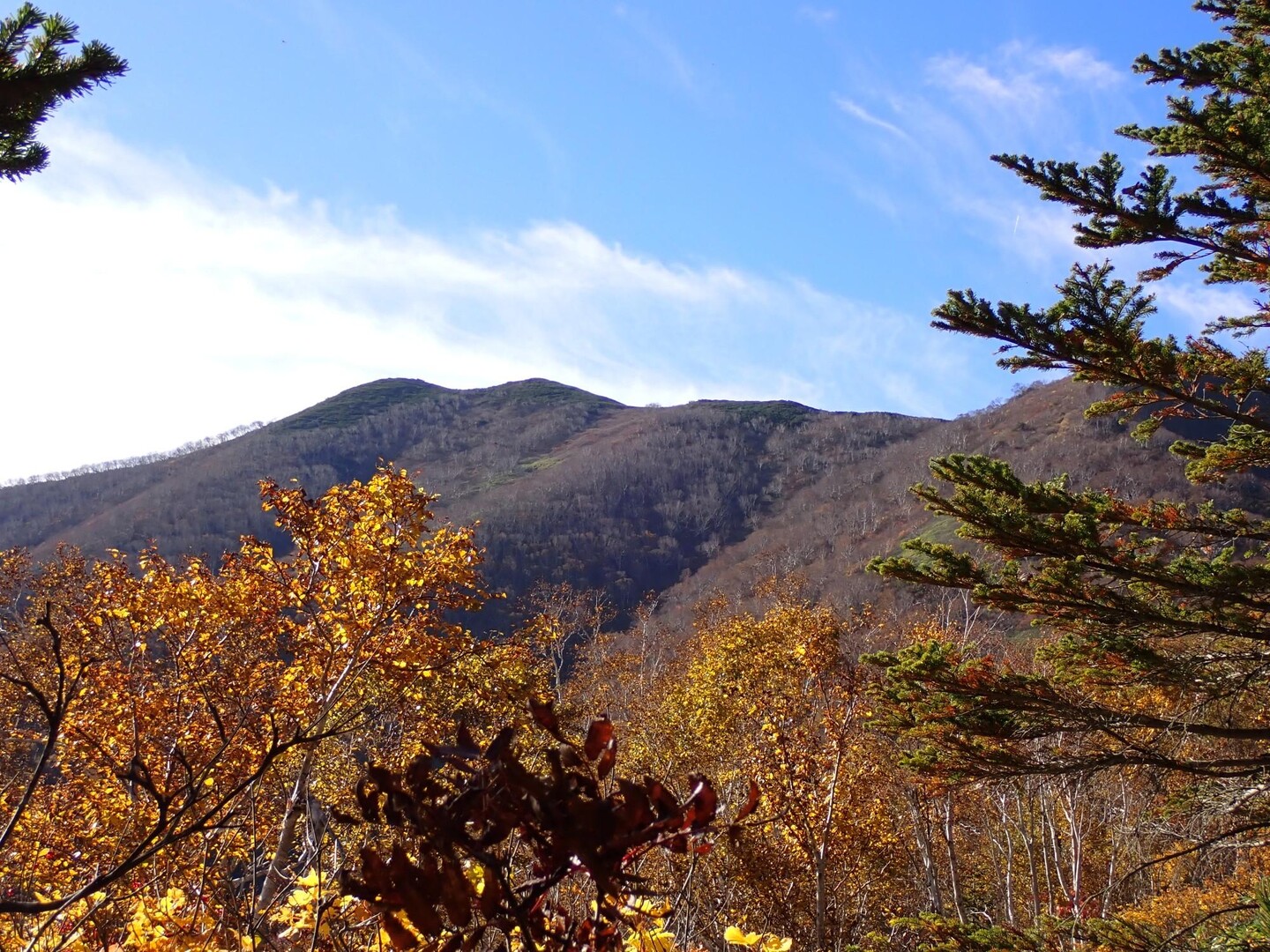 パンケヌーシ岳・芽室岳 / moon-riverさんの芽室岳・久山岳・剣山の活動データ | YAMAP / ヤマップ
