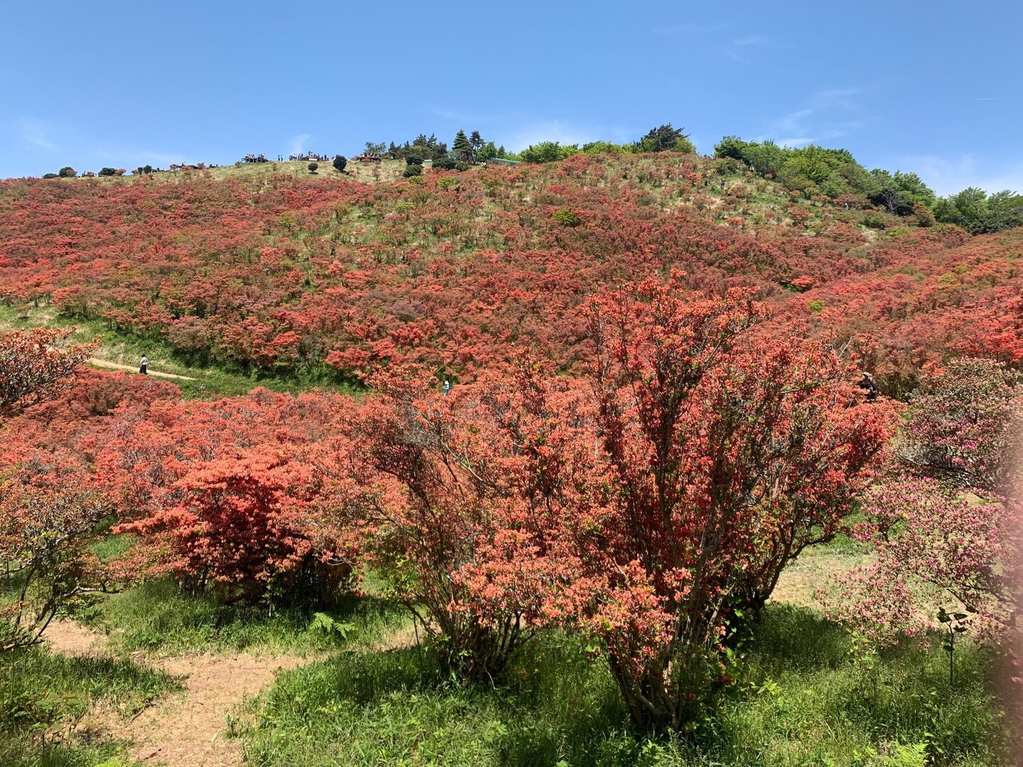 大和葛城山 / yumi minさんの葛城修験エリアマップ（金剛山周辺）の活動データ | YAMAP / ヤマップ