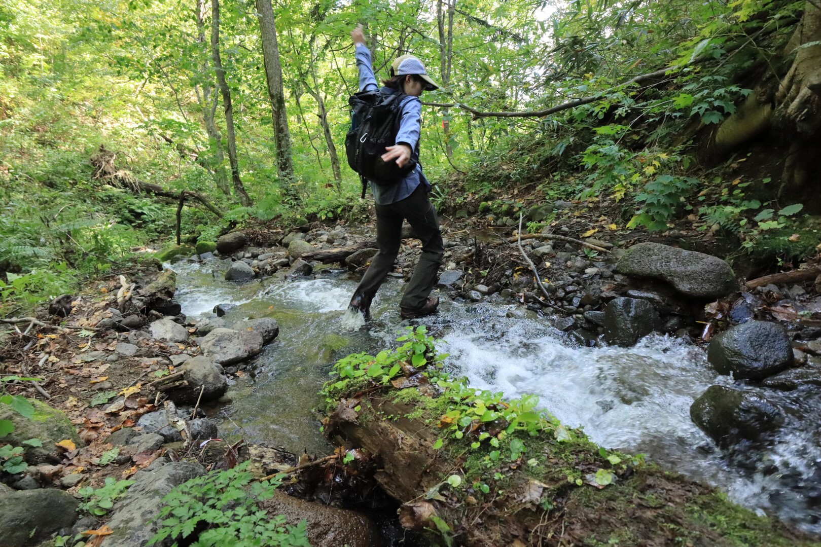 定山渓天狗岳はキツかった👺 / kojiyadさんの迷沢山の活動データ | YAMAP / ヤマップ