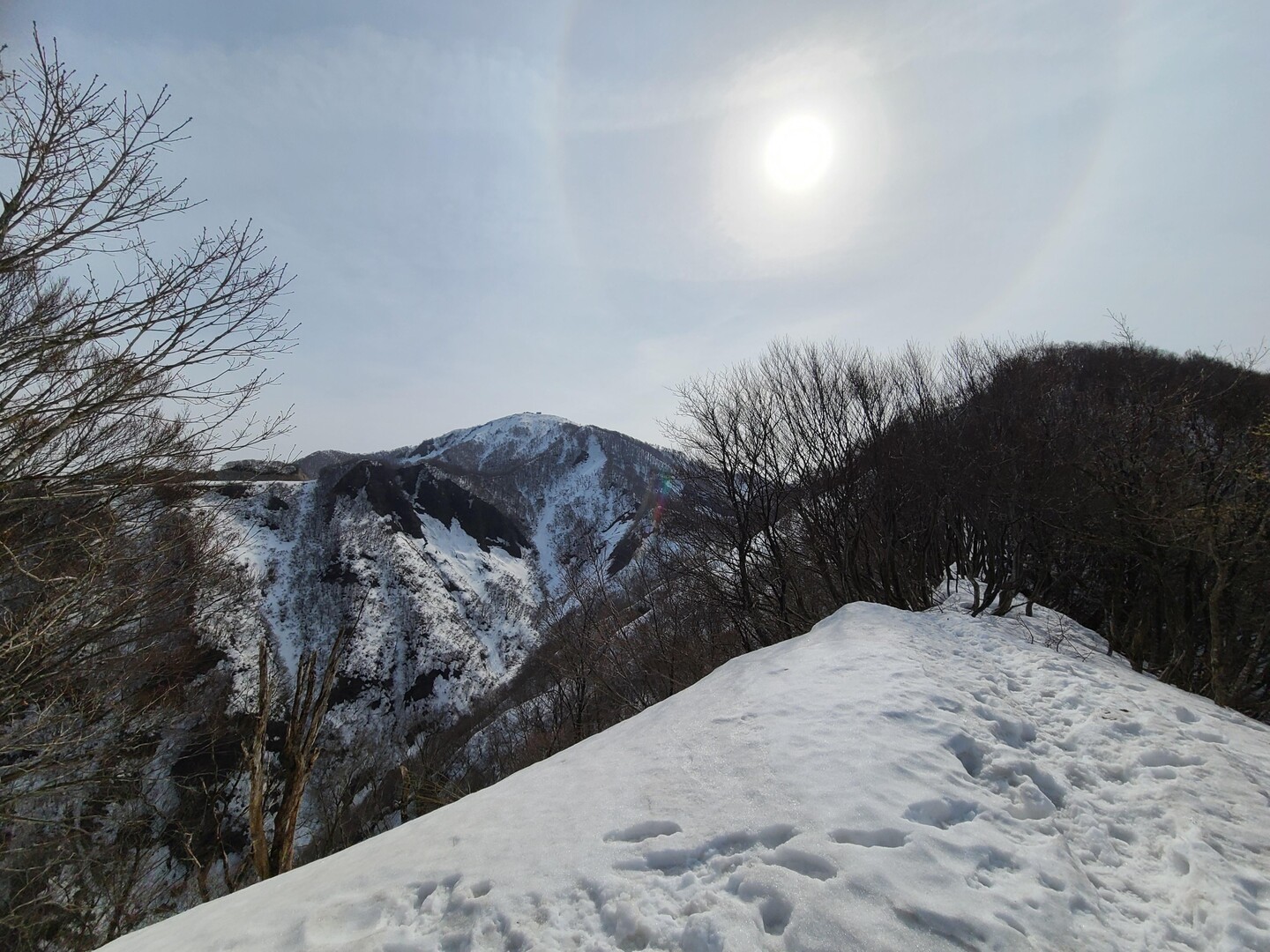 米山（300名山） / noppoさんの米山の活動データ | YAMAP / ヤマップ