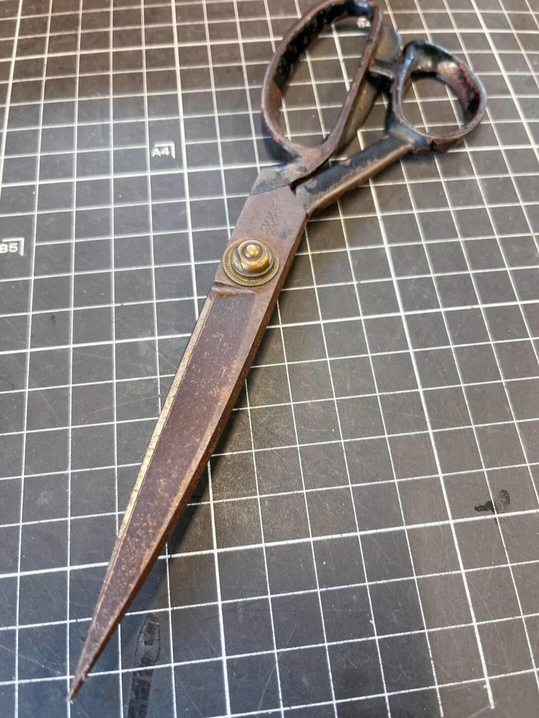 1）前の家の掃除の時、奥さんのおかあさ... / kazさんのモーメント | YAMAP / ヤマップ