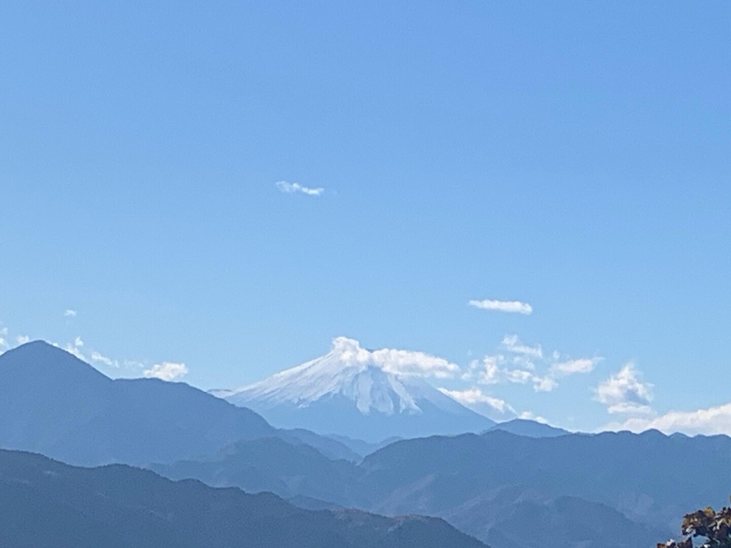 高尾山 病院裏から⬆️⬇️ / chocoponさんの高尾山・陣馬山・景信山の活動データ | YAMAP / ヤマップ