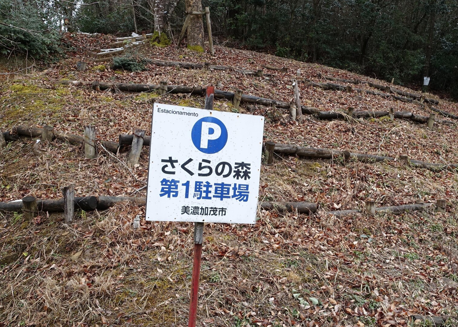 wtaxus わたくさすさんの投稿したフィールドメモ | YAMAP / ヤマップ