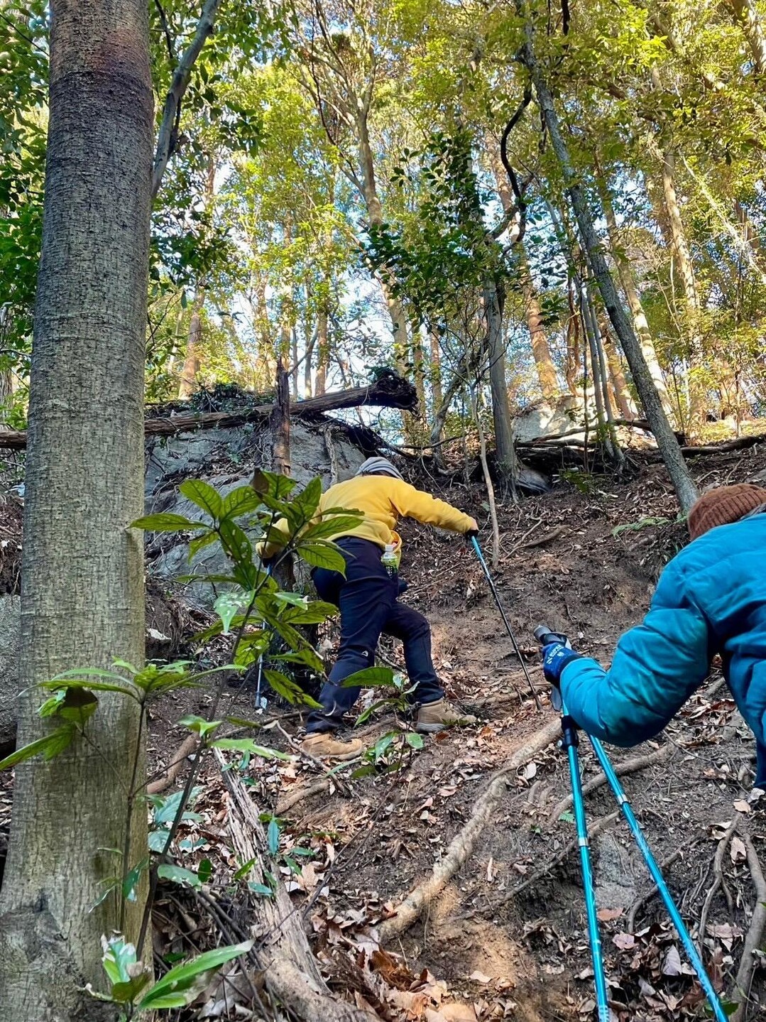 おかわりGP🩶宮山・お宝山💦 / time3_jangさんの筑波山の活動データ | YAMAP / ヤマップ
