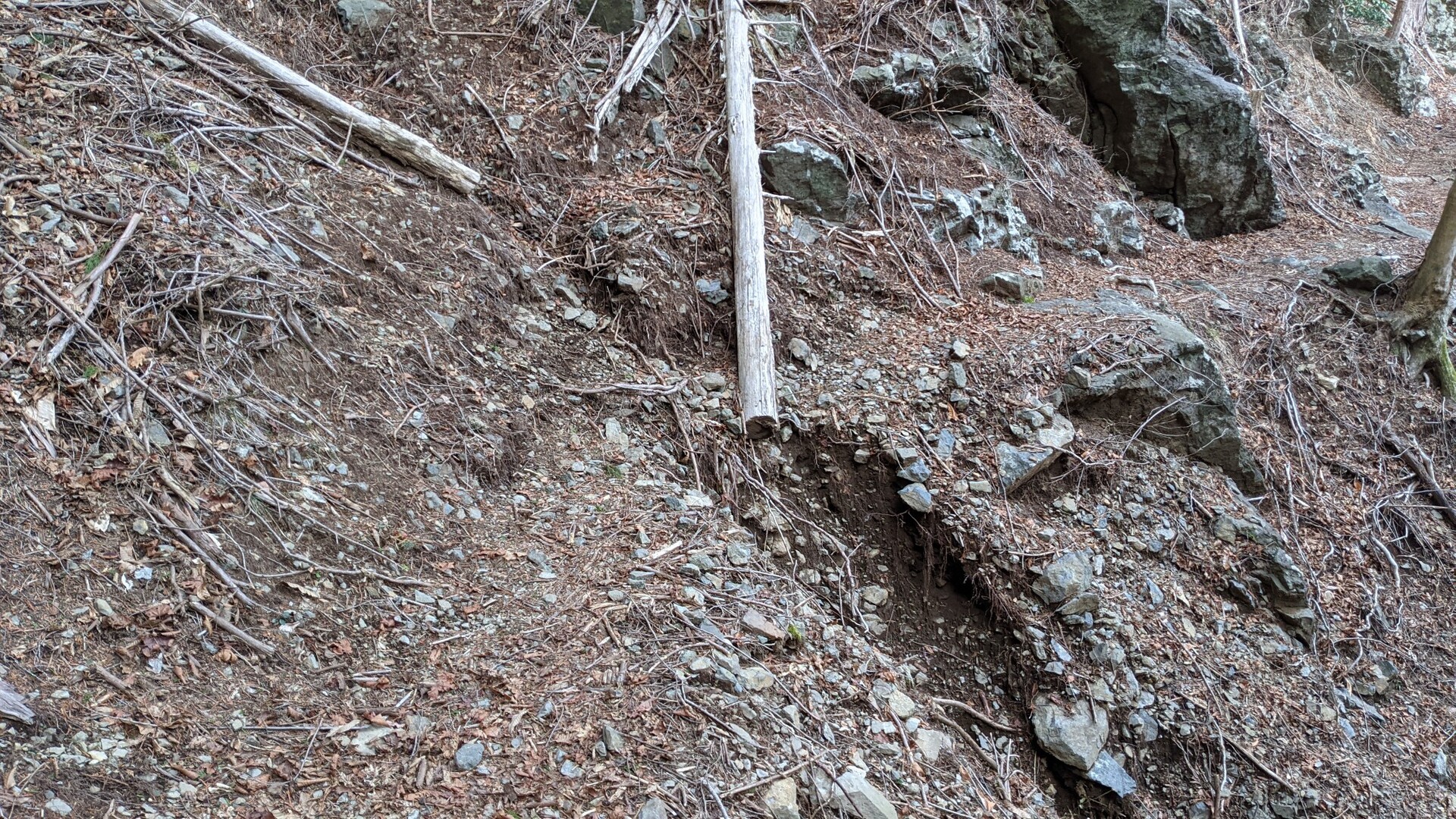 Atsushiさんの投稿したフィールドメモ | YAMAP / ヤマップ