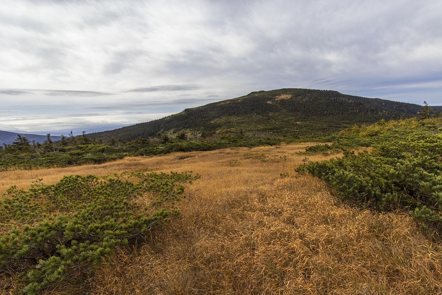 天候にも恵まれず、紅葉も見頃ではなかった西吾妻山 / zukiさんの吾妻山・一切経山の活動データ | YAMAP / ヤマップ