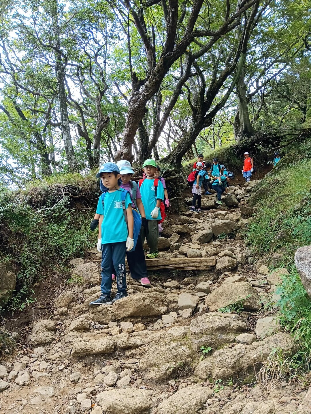 大山デビュー⛩️🎒 最低標高70m通過したよ😀🌟 / こうへいさんの大山の活動データ | YAMAP / ヤマップ