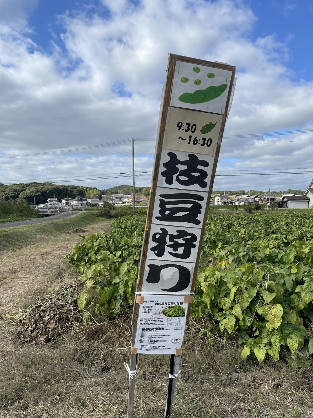 小野きすみので黒枝豆収穫体験今日最終日 ... / かおりんRさんのモーメント | YAMAP / ヤマップ