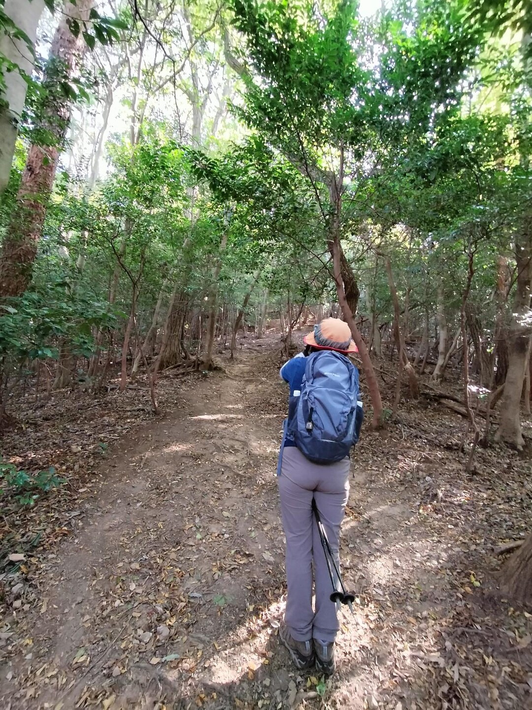大谷山・弥勒山 / shinjiさんの春日井三山・弥勒山・大谷山・道樹山の活動データ | YAMAP / ヤマップ