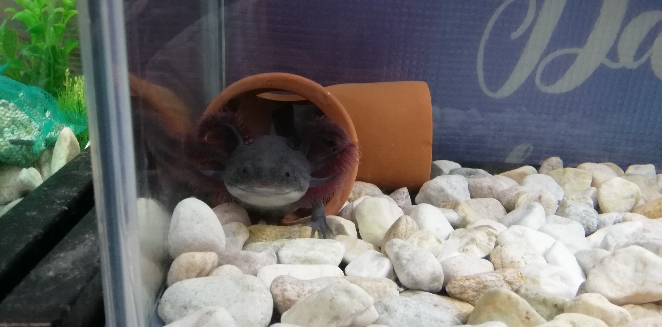 2020/10/6 土管狭いかな？ 今... / まさやんさんのモーメント | YAMAP / ヤマップ