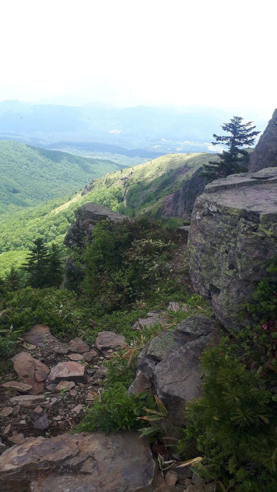 小四阿・中四阿・四阿山・根子岳・小根子岳 / James Van Lieuさんの四阿山・根子岳の活動データ | YAMAP / ヤマップ