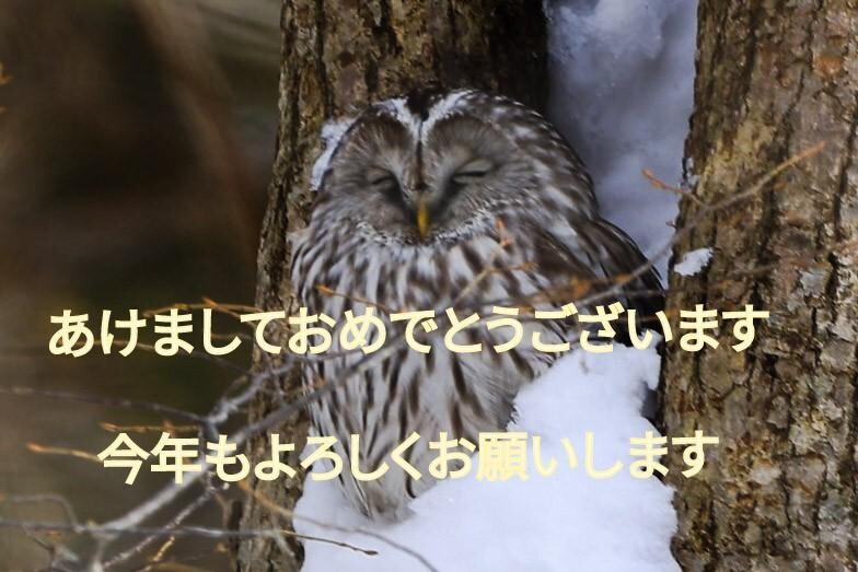 あけましておめでとうございます😊 今年... / パパはTonyさんのモーメント | YAMAP / ヤマップ