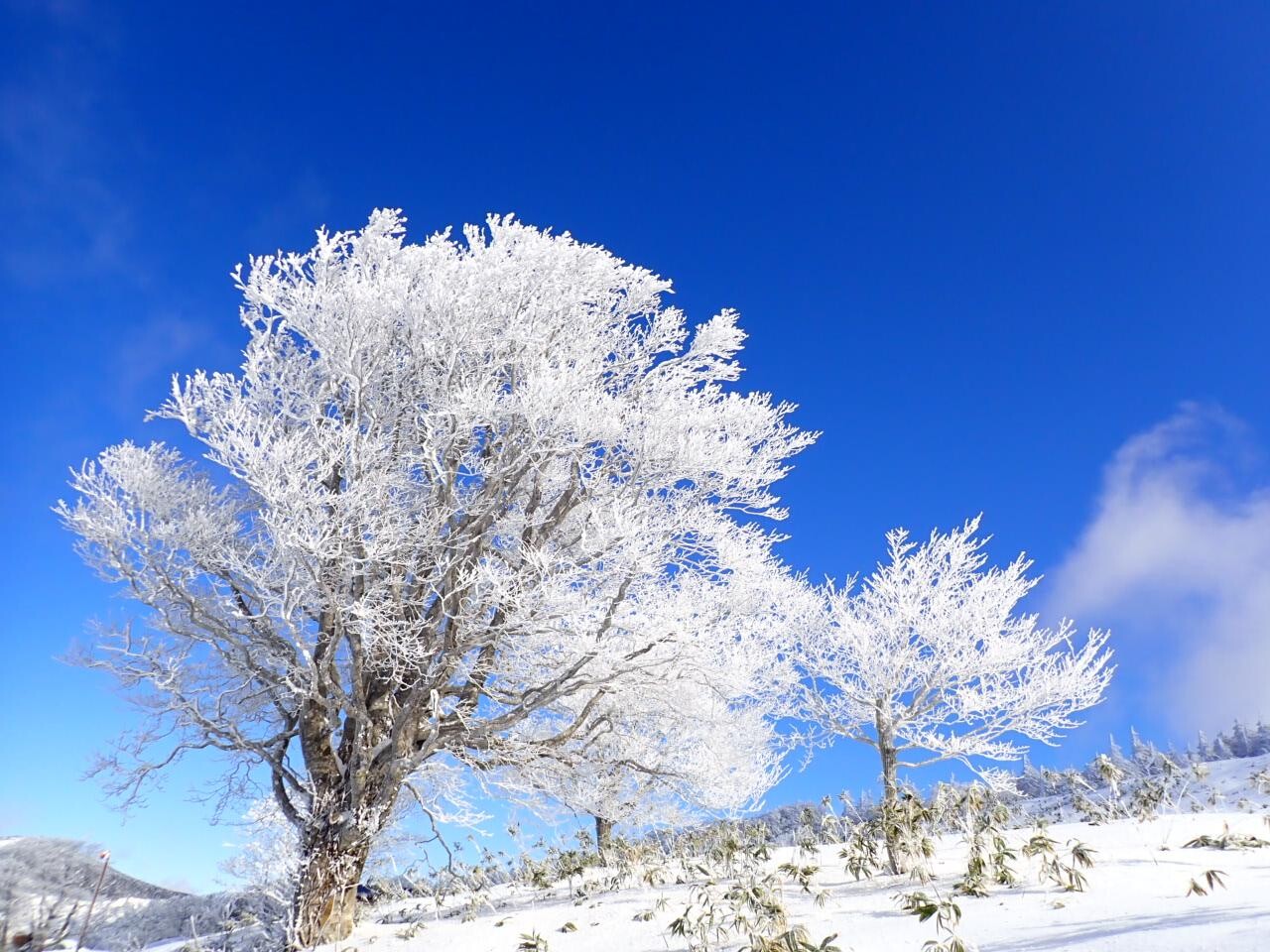 毎年、大晦日は一年間の山行を振り返り整理... / hidejさんのモーメント | YAMAP / ヤマップ