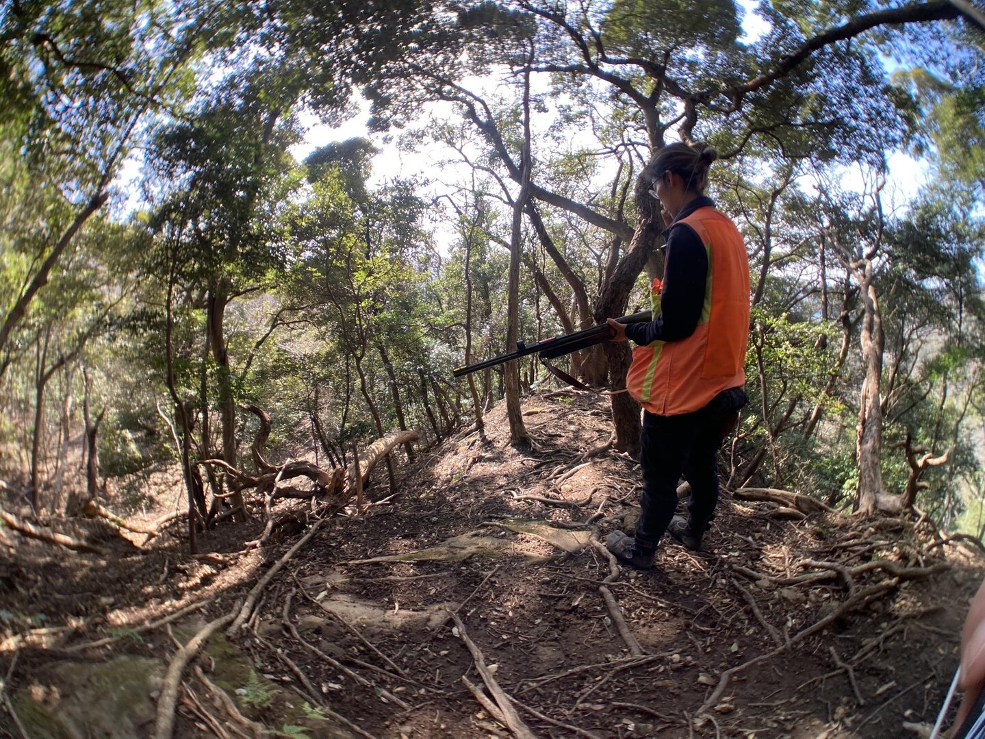 狩猟にも参加させてもらってます！ / ウータンさんのモーメント | YAMAP / ヤマップ