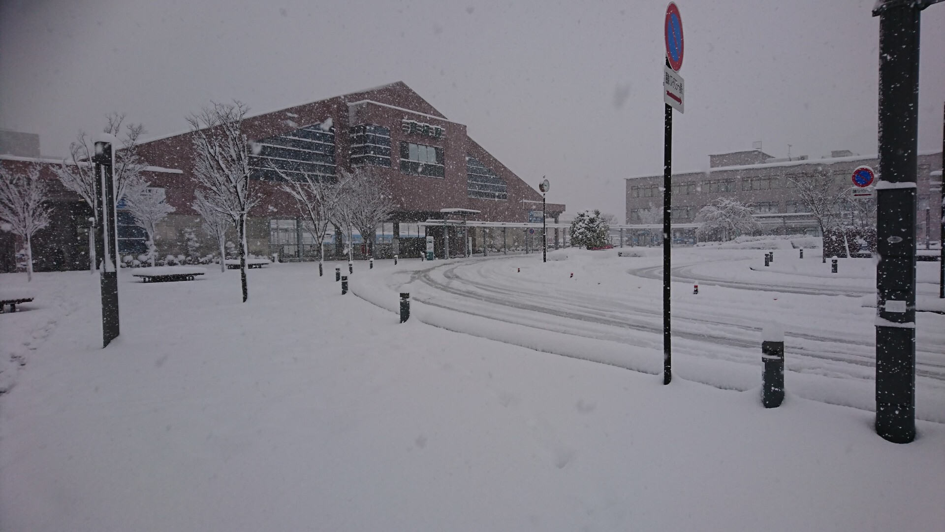 彦根 ️ 雪 吹雪いてる 積もっ... / 🐾たまをの🌳さんのモーメント | YAMAP / ヤマップ