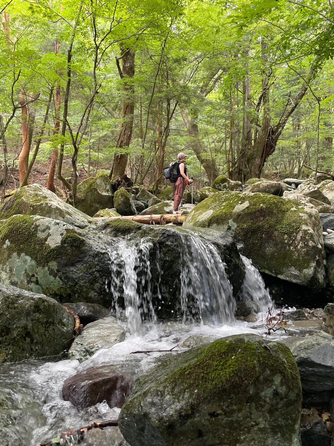 祖母山 / sho-_-jiさんの祖母山の活動データ | YAMAP / ヤマップ