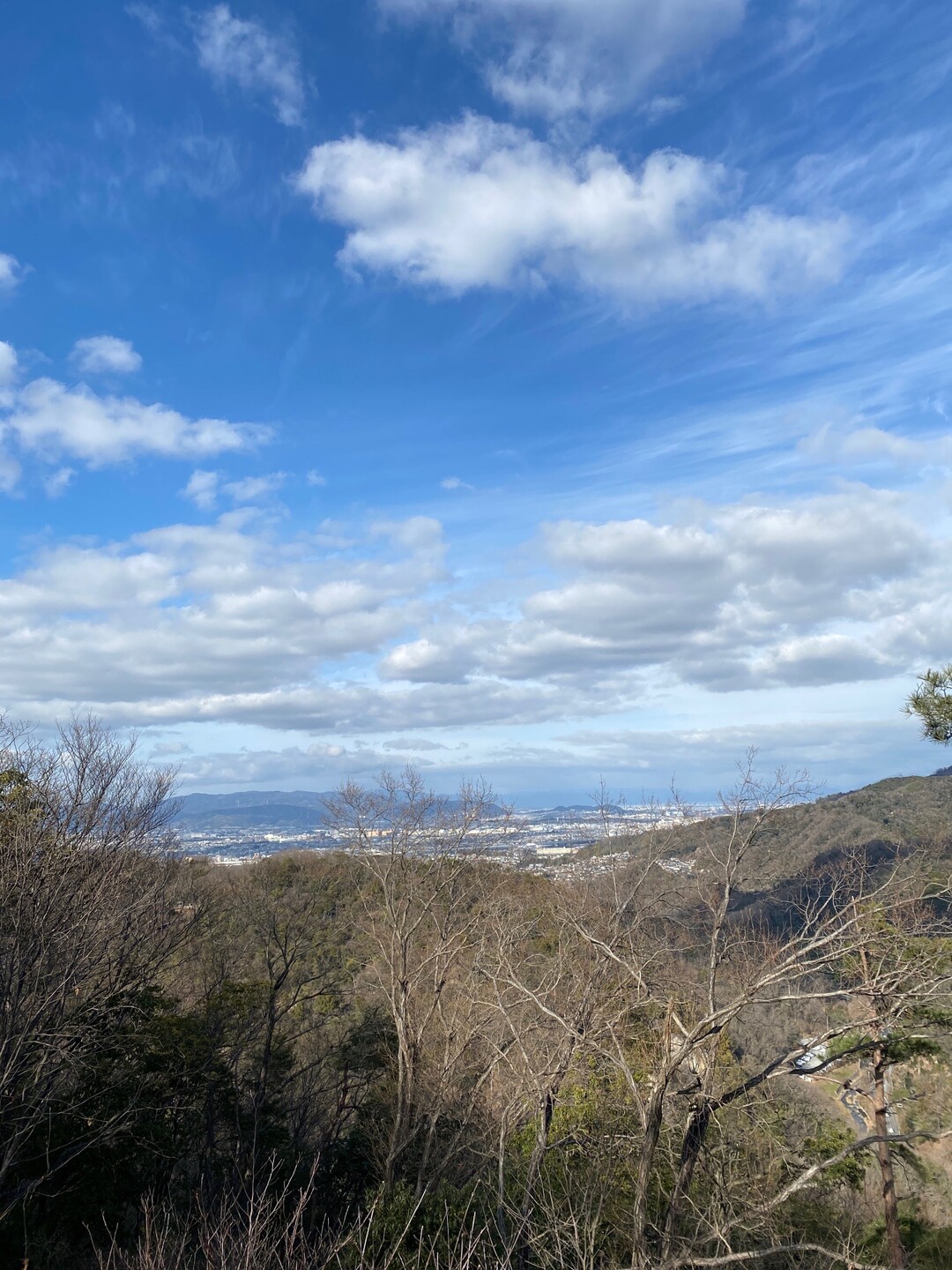 よっとさんの投稿したフィールドメモ | YAMAP / ヤマップ