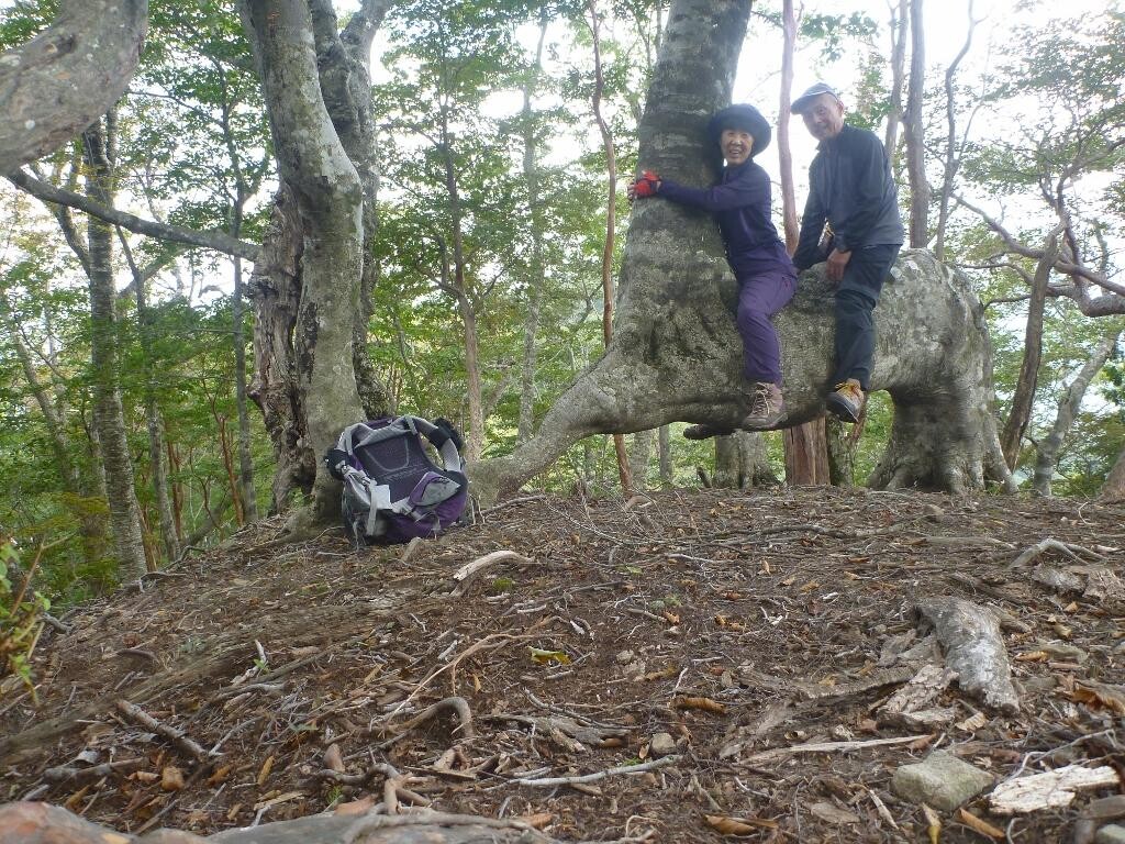 紫131 池木屋山から霧降山周回2014.9.22～9.23 / yamamurasakiさんの登山の活動日記 | YAMAP / ヤマップ
