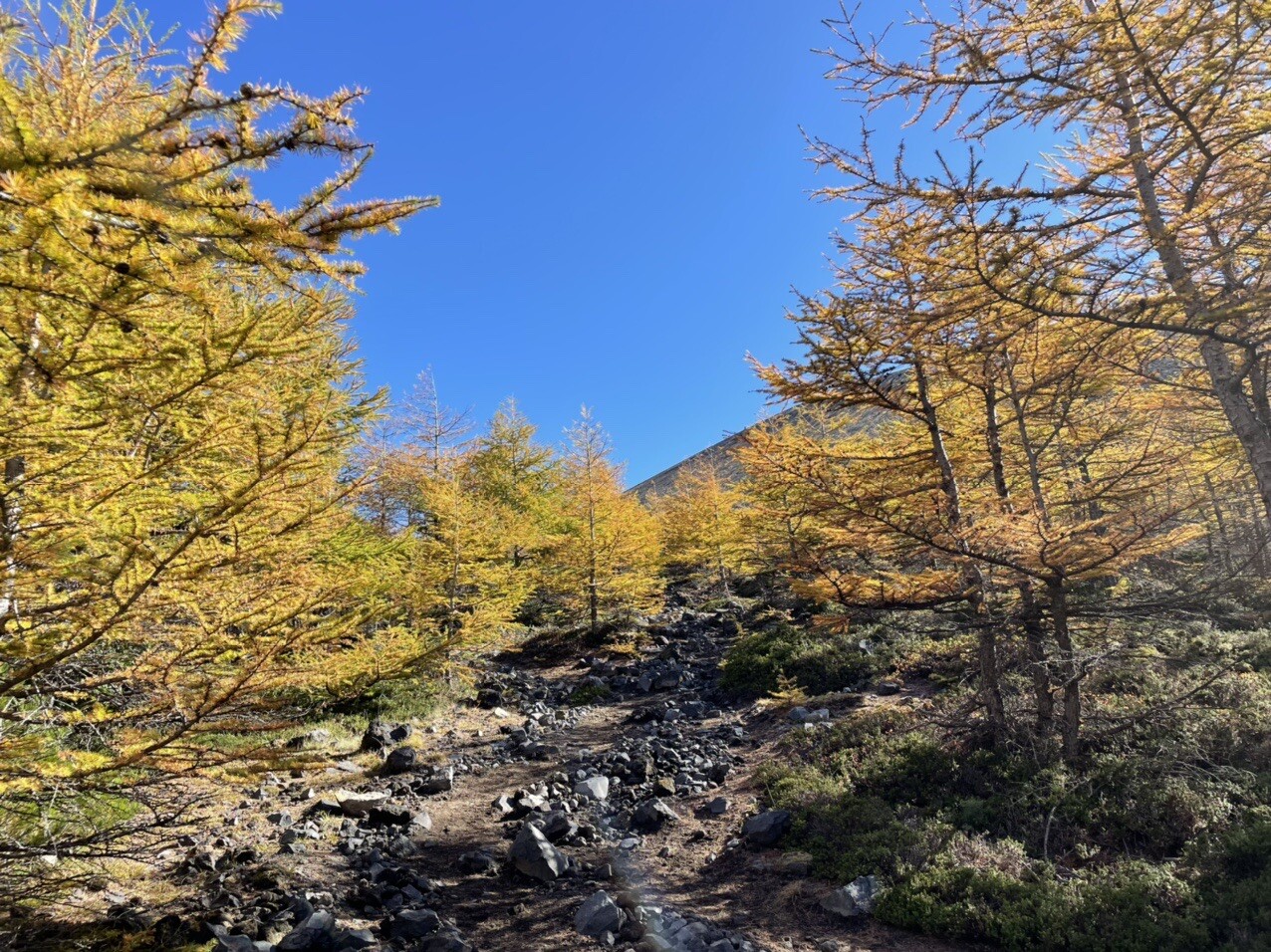 ゴールドラッシュ‼ / pleng86さんの浅間山・黒斑山・篭ノ登山の活動データ | YAMAP / ヤマップ