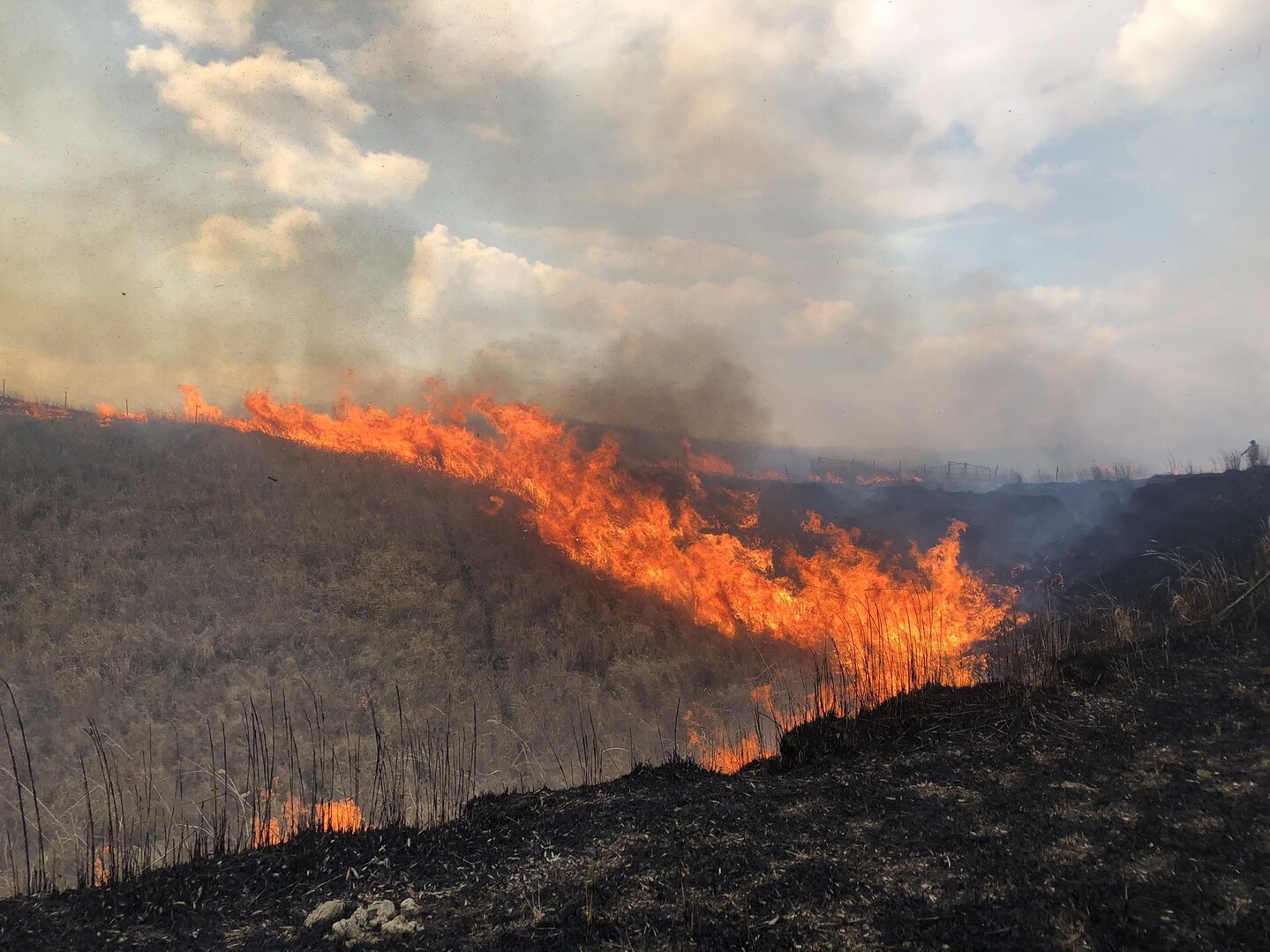 2024.3.3 ボルケーノの選手として... / yukaさんのモーメント | YAMAP / ヤマップ