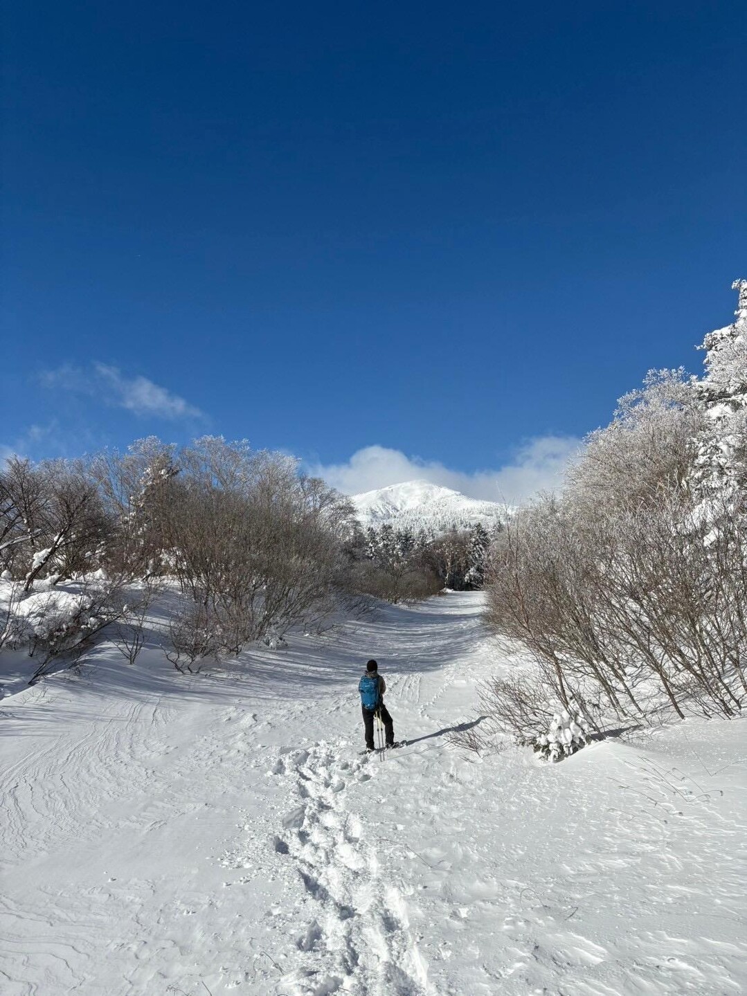 【蔵王･:* ︎】 ピーク踏まないゆる... / ya_ma_holicさんのモーメント | YAMAP / ヤマップ