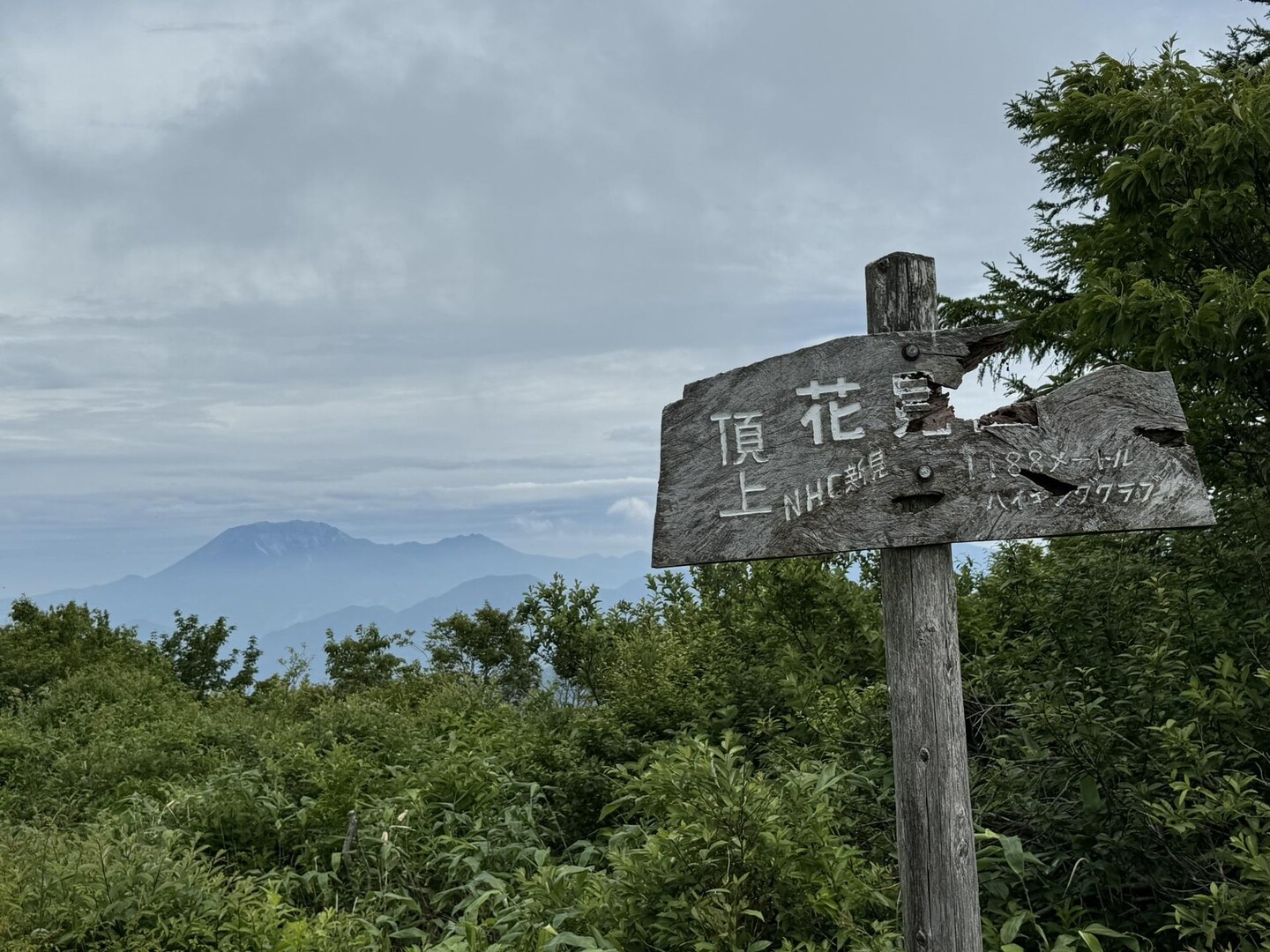 花見山 / moanaさんの花見山の活動データ | YAMAP / ヤマップ