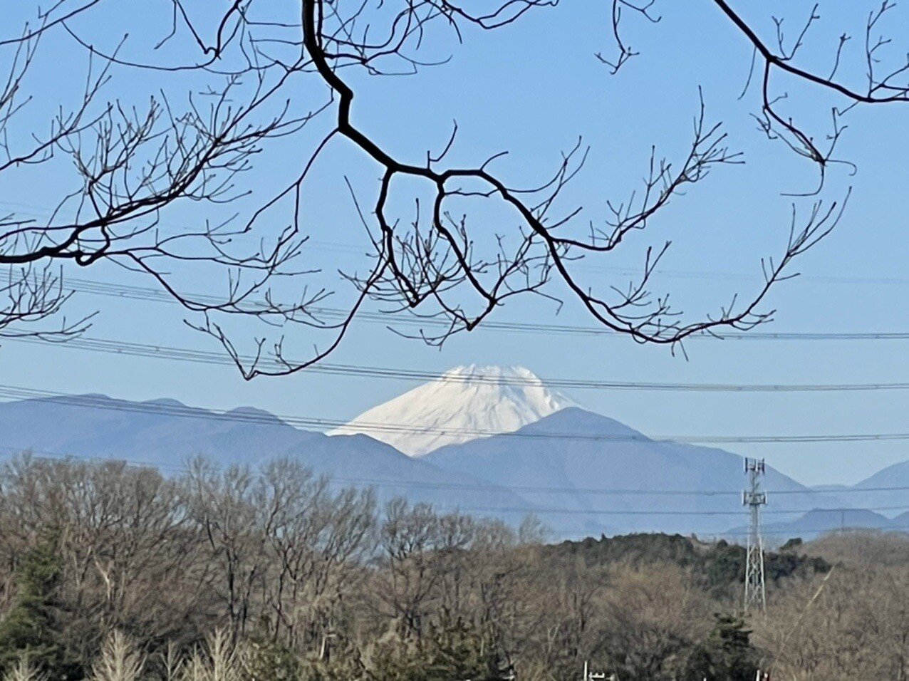 よこやまのみち / yayoiさんのウォーキングの活動データ | YAMAP / ヤマップ