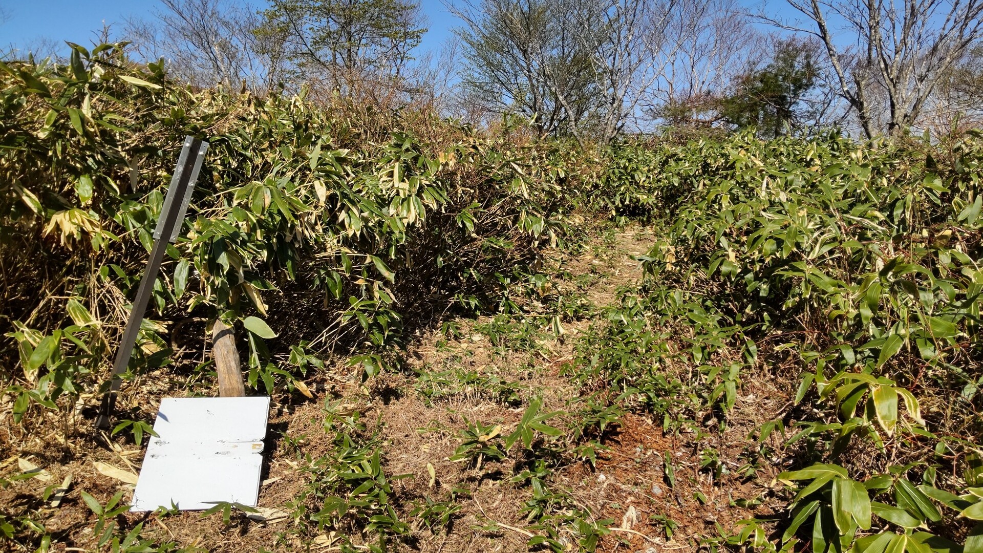 カケスガ峰へ冬道 / zaomonsさんの面白山・神室岳・大東岳・雨呼山の活動データ | YAMAP / ヤマップ