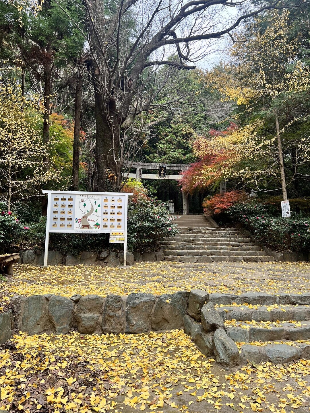 本宮山 / Monica さんの本宮山・大日山・風頭山の活動データ | YAMAP / ヤマップ