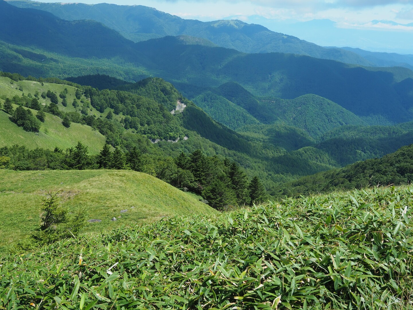 和田山北峰・三峰山・和田山南峰 / ICHI JUNさんの美ヶ原の活動データ | YAMAP / ヤマップ