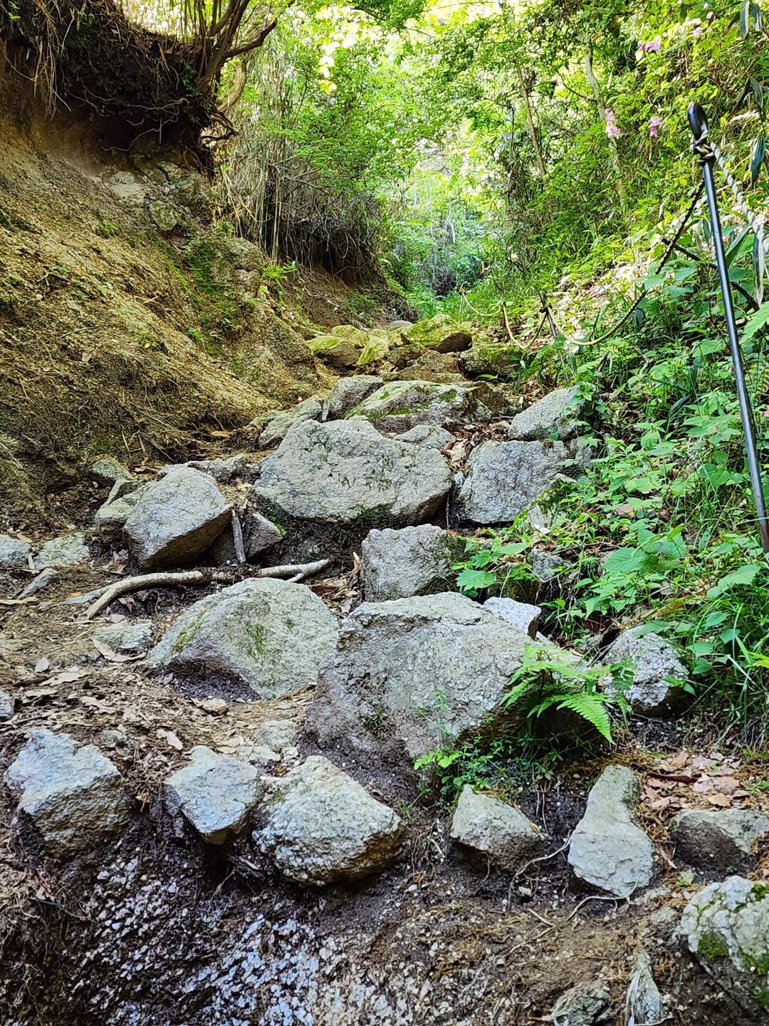 Kohjiさんの投稿したフィールドメモ | YAMAP / ヤマップ