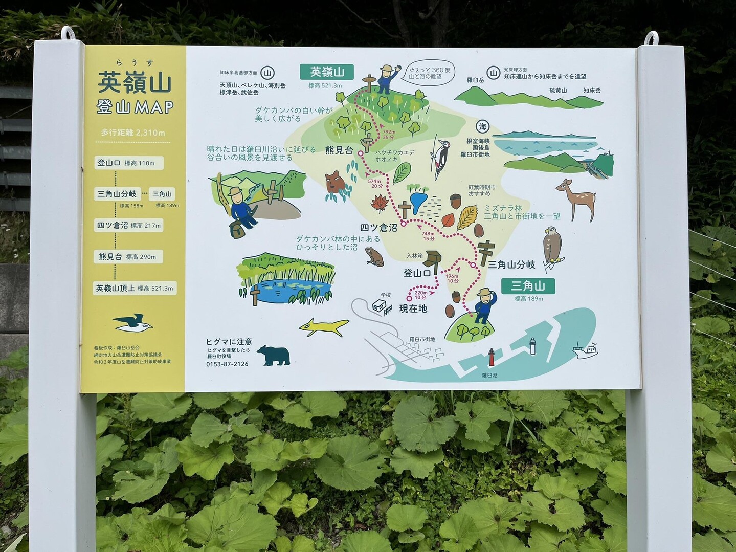 英嶺山 Fast-Hike&Run / まこさんさんの羅臼岳・硫黄山（知床）・羅臼湖の活動データ | YAMAP / ヤマップ