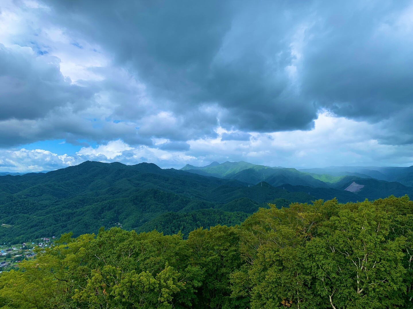 藻岩山-2019-09-01 / ponponさんの藻岩山の活動データ | YAMAP / ヤマップ