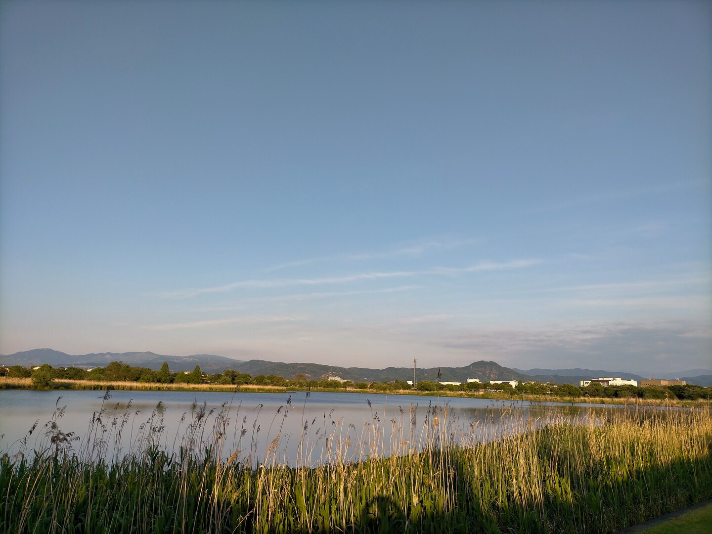 お散歩中～ 奥に阿蘇山 見えてるのは一ノ... / rie.tさんのモーメント | YAMAP / ヤマップ