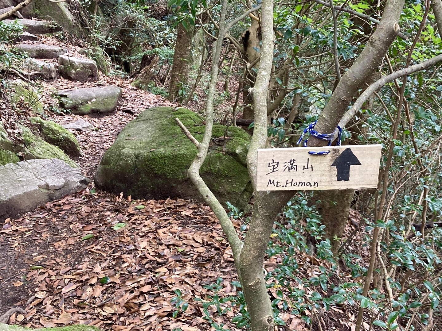 宝満山・仏頂山・愛嶽山 / Jinさんの宝満山・三郡山・若杉山の活動データ | YAMAP / ヤマップ