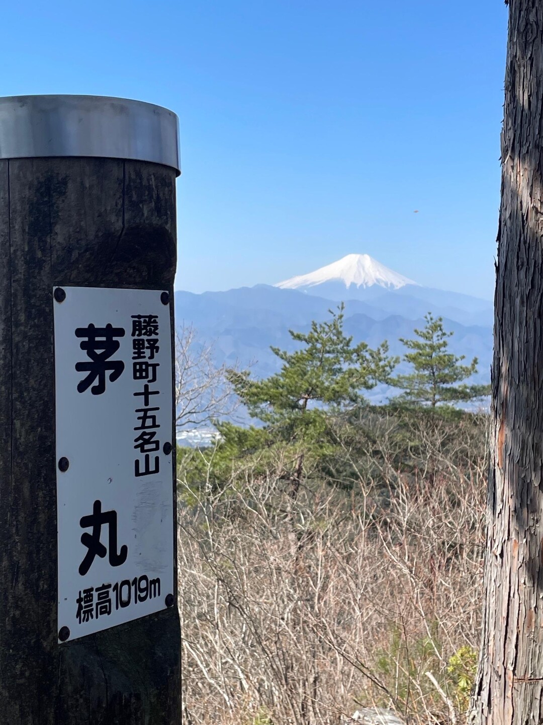 花は咲いていなかったけど、花の百名山@生藤山 / DKさんの生藤山の活動データ | YAMAP / ヤマップ
