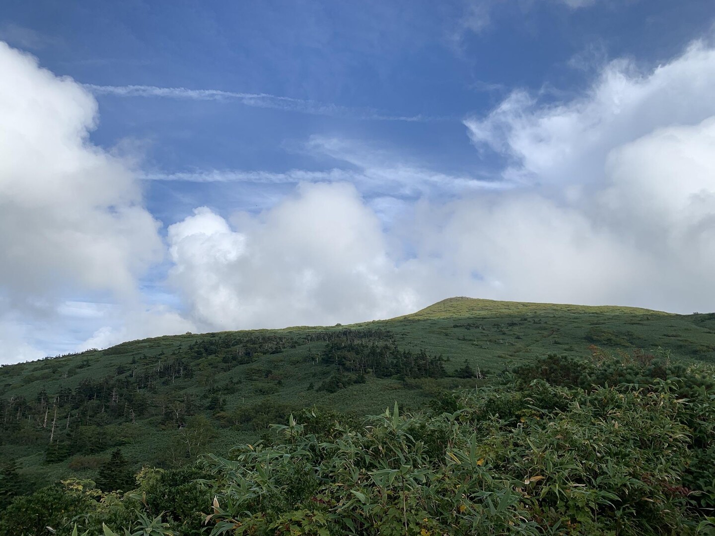 R5.9.17 烏帽子岳(乳頭山) / あおかつさんの乳頭山・湯森山・大白森の活動データ | YAMAP / ヤマップ