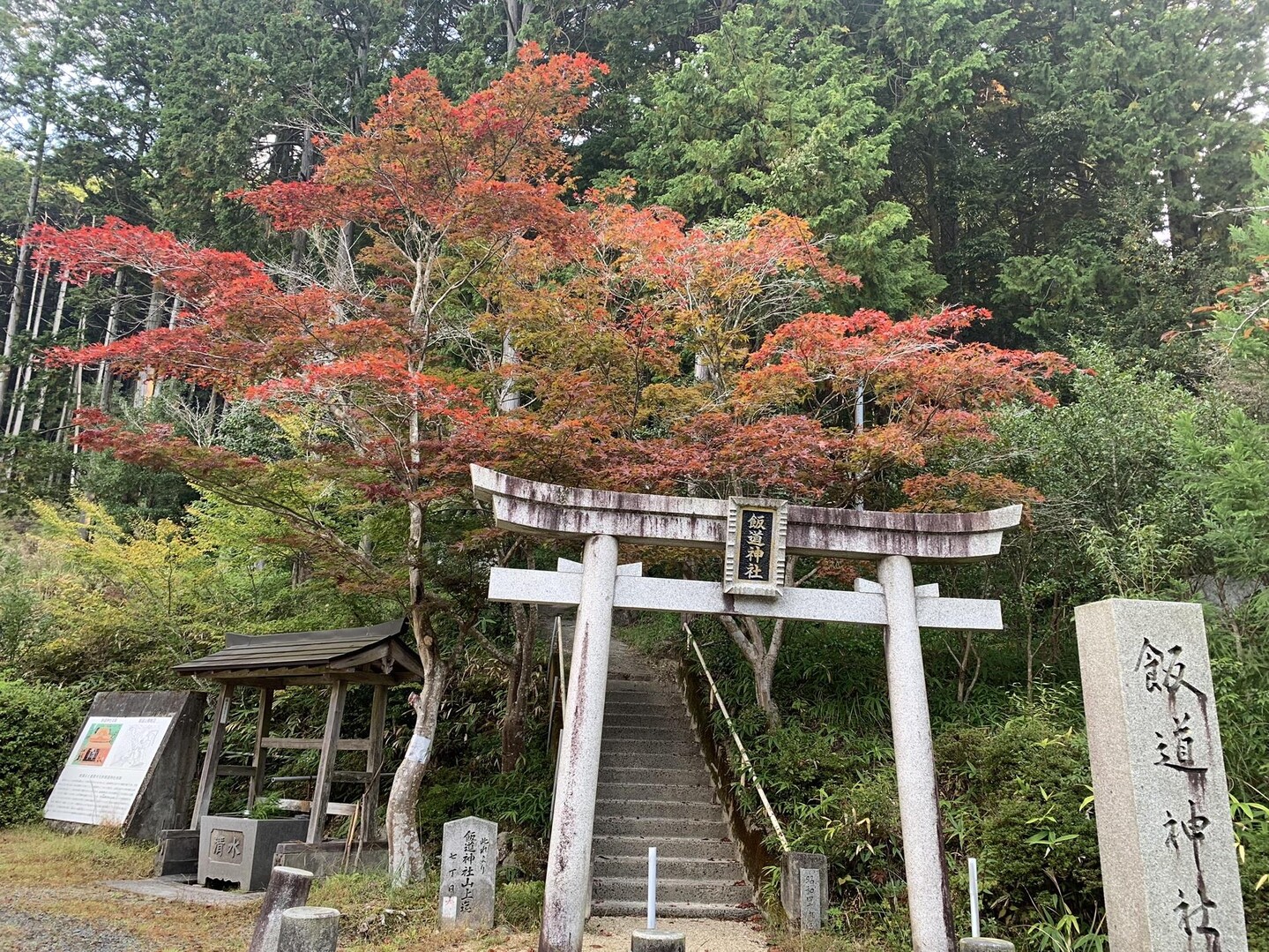 ご近所山行 飯道山・白草山 / Raraさんの飯道山の活動データ | YAMAP / ヤマップ