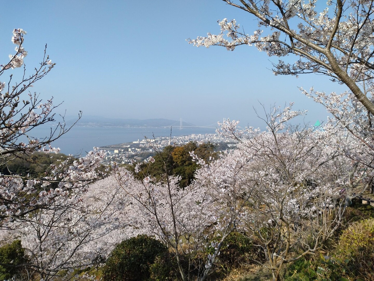 旗振山&須磨浦山上遊園にお花見登山 / nanohさんの六甲山・長峰山・摩耶山の活動データ | YAMAP / ヤマップ