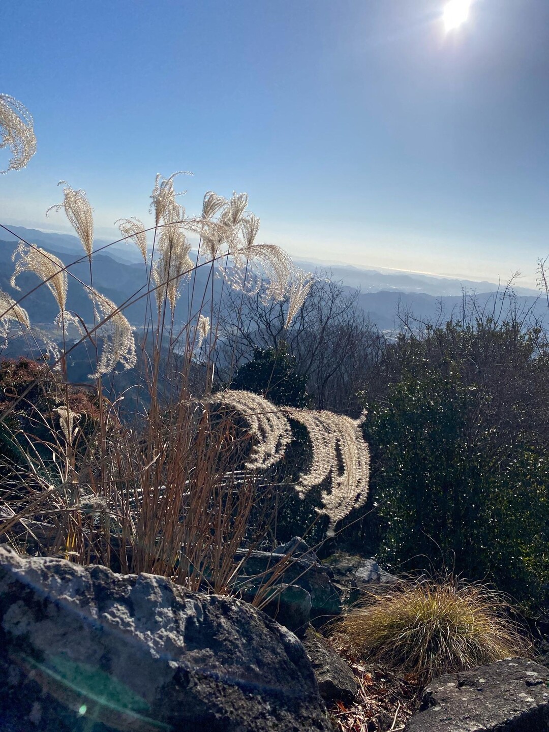 西の丸・大熊の頭・明神山・小明神山・五郎山・三角点山・明剣岳 / KASABUさんの明神山・太郎岳の活動データ | YAMAP / ヤマップ