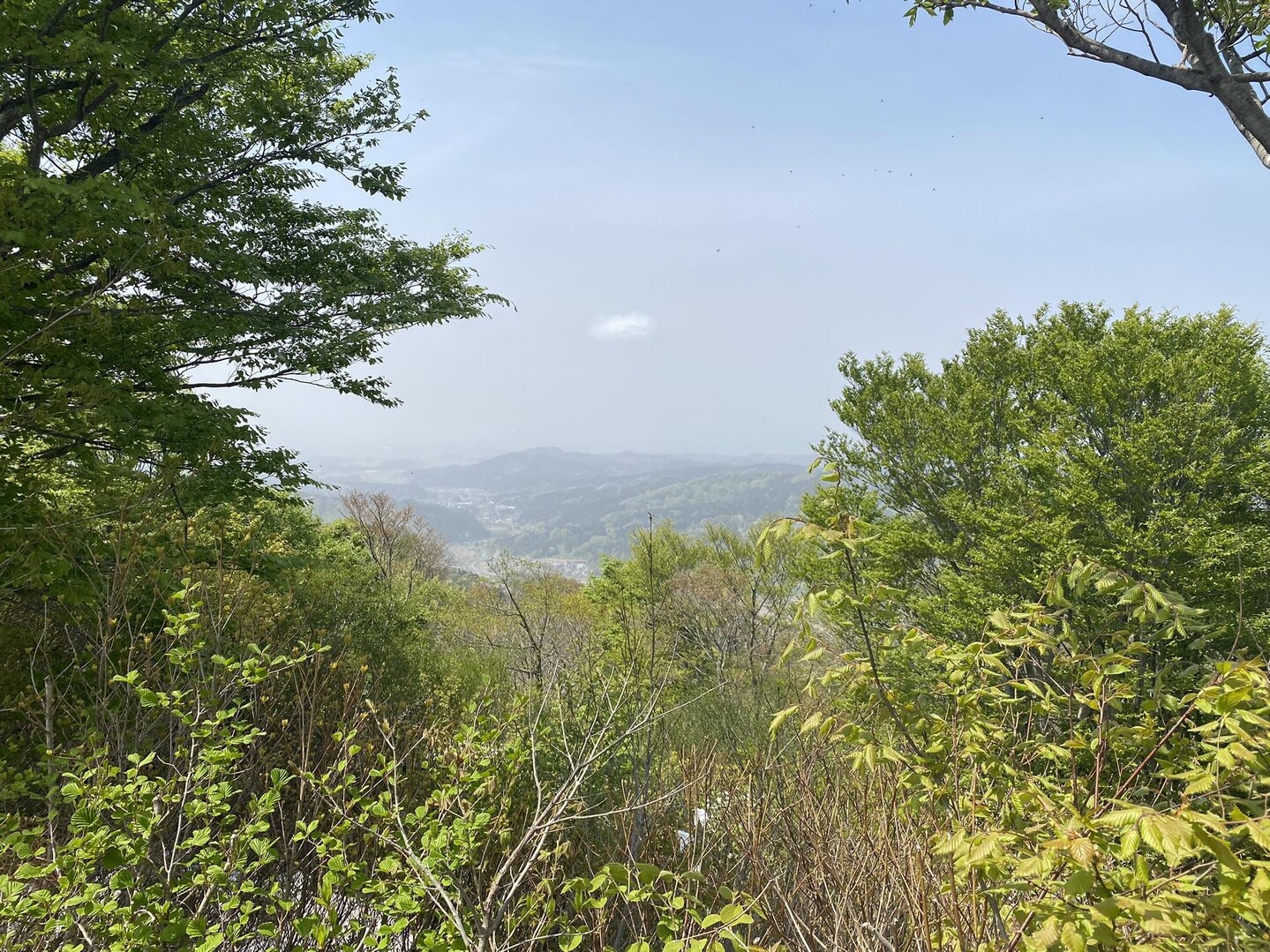 霧ヶ岳 / j-poohさんの霧ヶ岳の活動データ | YAMAP / ヤマップ