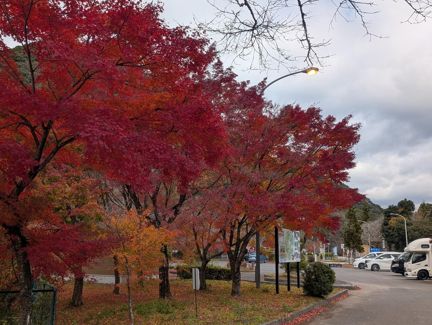 鳳来寺山・瑠璃山 / sanさんの宇連山・鳳来寺山・岩古谷山の活動データ | YAMAP / ヤマップ